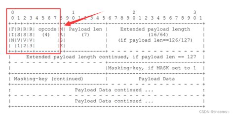 一文带你秒懂 字节序 byte order ，比特序 bit order ，位域 bit field byteorder csdn博客