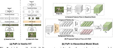 Papr Training Free One Step Patch Pruning With Lightweight Convnets For Faster Inference