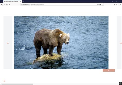 Html Flexbox Behaving Different In Chrome And Firefox Stack Overflow