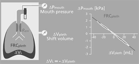 Whole Body Plethysmography Air Plethysmography And Pulse Plethysmography