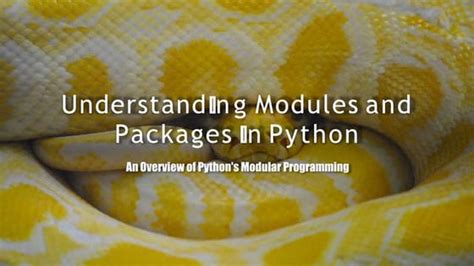 modules and packages in python programming language pptx