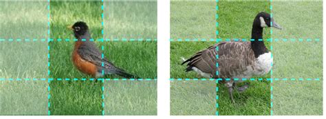Intra Task Mutual Attention Based Vision Transformer For Few Shot Learning Ai Research Paper