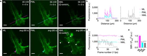 Mode Locking Increases Multiphoton Excited Fluorescence Signal Compared Download Scientific