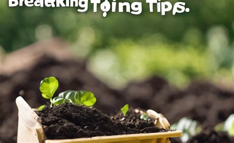 Fix Compost Not Breaking Down Essential Tips