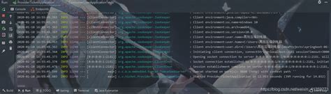 Springboot整合dubbo时，消费者调用提供者的方法时出现空指针异常dubbo服务提供者内容为空 Csdn博客