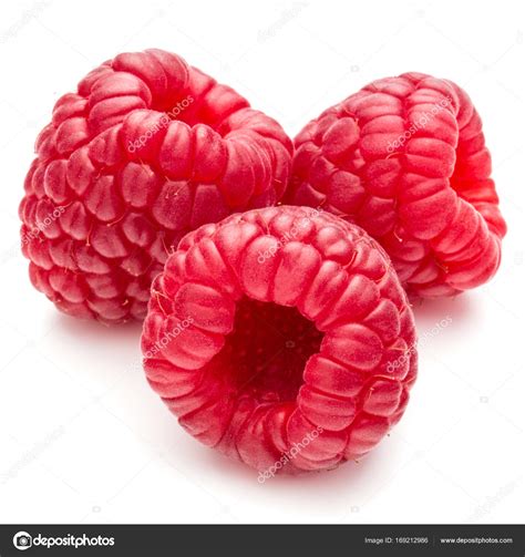 신선한 익은 산딸기 — 스톡 사진 © Natika 169212986