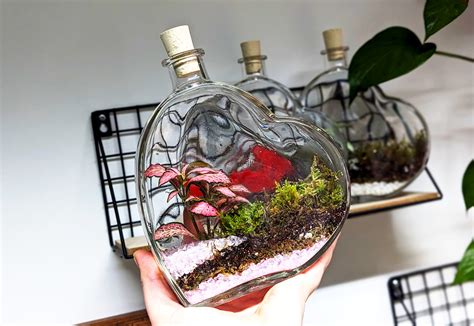 Diy Large 500ml Heart Shaped Closed Terrarium Diy Terrariums