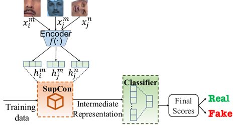 Framework For Proposed Approach Using SupCon For DeepFakes Detection Download Scientific