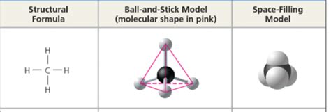 AP Bio Chapter Carbon And The Molecular Diversity Of Life Flashcards Quizlet