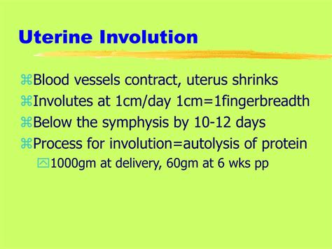 Ppt Postpartum Nursing Powerpoint Presentation Free Download Id 333323