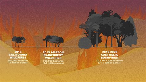 Just How Bad Are Australias Bushfires Here Are The Numbers Vice