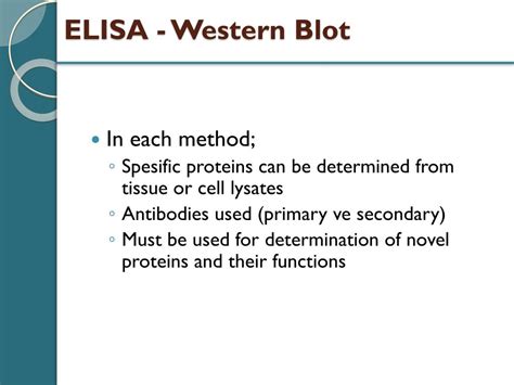 Ppt Protein Analysis Methods Western Blot And Elisa Powerpoint