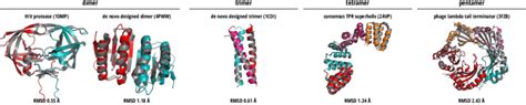 Alphafold Prediction Of Protein Complexes Alphafold Predictions Of Download Scientific Diagram