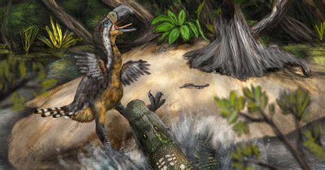 Terror Bird May Have Been Killed By Even Bigger Creature 13 Million