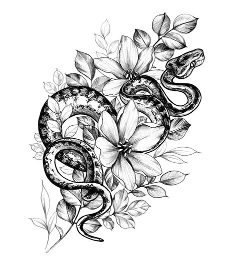 Python Drawing Stock Illustrations Python Drawing Stock Illustrations Vectors Clipart
