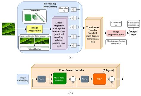 A Comparative Survey Of Vision Transformers For Feature Extraction In