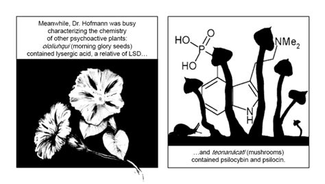 Lsd History Comic Stumbles