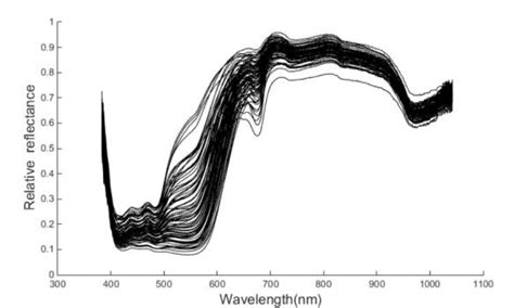 Relative Reflectance Spectral Download Scientific Diagram