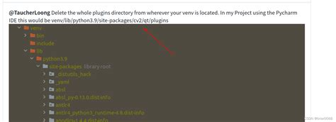 深度学习 17 ubuntu18 04 labelme安装与qt qpa plugin Could not load the Qt
