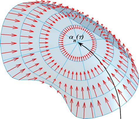 Vector Field In A Normal Neighborhood Of Download Scientific Diagram