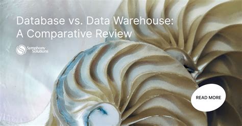 database vs data warehouse a comparative review symphony solutions