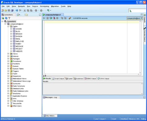 Oca Oracle Database 11g Sql Fundamentals I A Real World Certification
