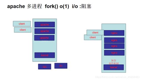 Centos79下nginx的安装与配置实现任意目录下均可直接执行 Nginx 命令，以及开机自启动linux Nginx 设置成可以直接命令启动不用进去安装目录 Csdn博客