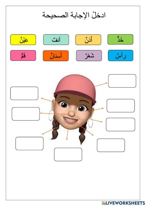 Anatomy Activity Live Worksheets