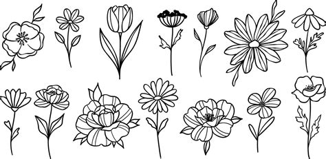 Flower Doodles Vector Floral Illustrations Cute Tiny Hand Drawn