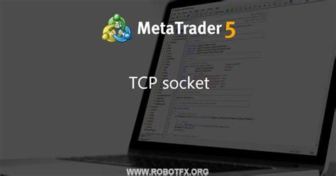Tcp Socket Library Metatrader 4 Alice Wonders