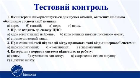 Будова нервової системи Центральна та периферична нервова система людини презентация онлайн