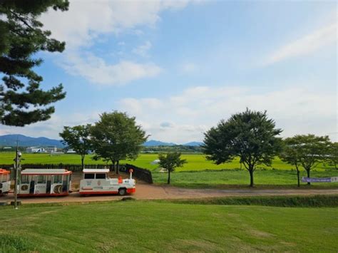 [고창여행 2박3일] 고인돌박물관 방장산자연휴양림 네이버 블로그
