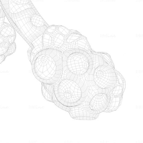 Human Bronchi Alveoli 3d Model