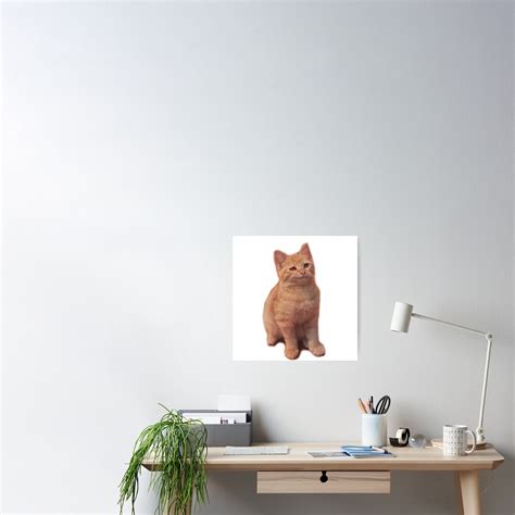Skeptical Meme Cat With A Funny Face Poster By Bigsales4u Redbubble