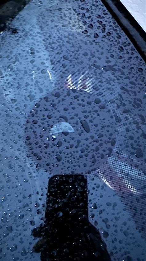 Rain Sensor Not Calibrated Error Mini Cooper Forum