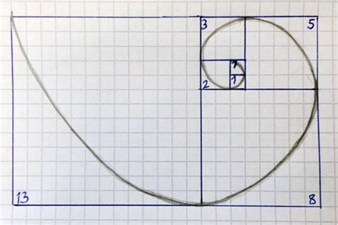How To Draw A Fibonacci Spiral Scientist Factory