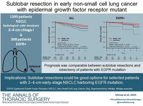 Sublobar Resection In Early Non Small Cell Lung Cancer With Epidermal