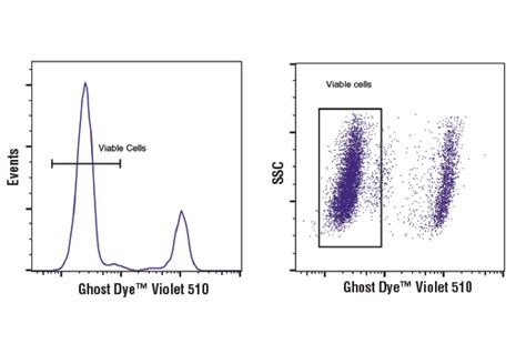Foxp3 Transcription Factor Fixation Permeabilization Kit Cell Signaling Technology