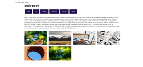 Entity Gallery To Slideshow Drupal Org