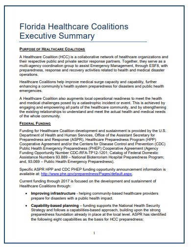 10 Proposal Executive Summary Examples Pdf Word Examples Executive