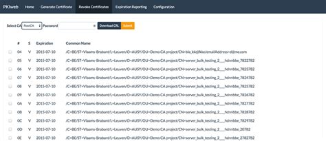Dennis Verslegers Openssl Web Front End