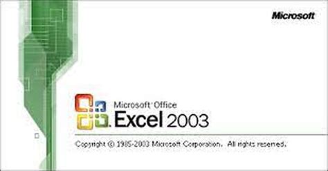 Microsoft Excel 2003 Logo