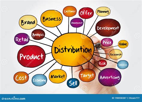 Distribution Mind Map Flowchart With Marker Business Concept For Presentations And Reports
