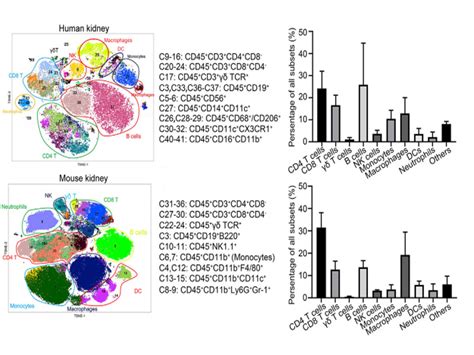 糖尿病 联科生物