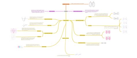 Functions Coggle Diagram