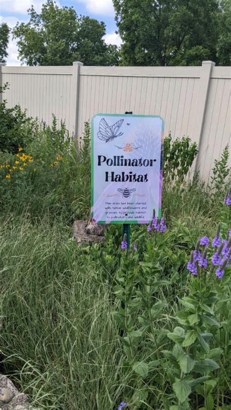 Pollinator Habitats Pollination Native Plants Science And Nature Books