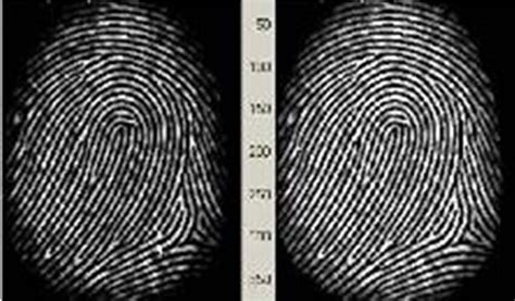 Image Status A After Fft B Before Fft Download Scientific Diagram
