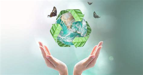 Безпека в побуті та навколишньому середовищі Тест на 11 запитань Основи здоровя