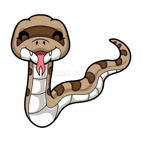 Gopher Snake Stock Illustrations 52 Gopher Snake Stock Illustrations