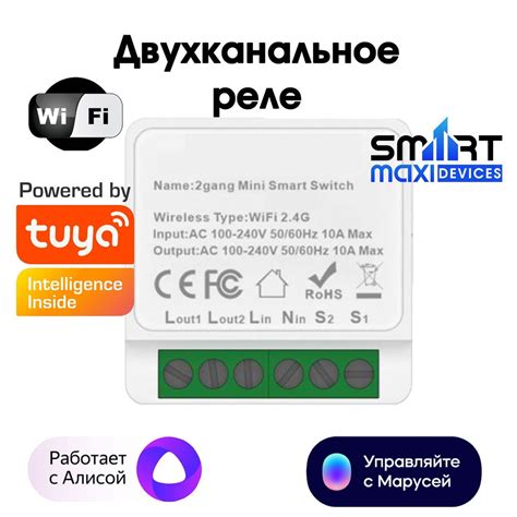 Умное двухканальное Wi Fi реле Tuya с помощниками Яндекс Алиса Маруся и другие Smart Switch 2